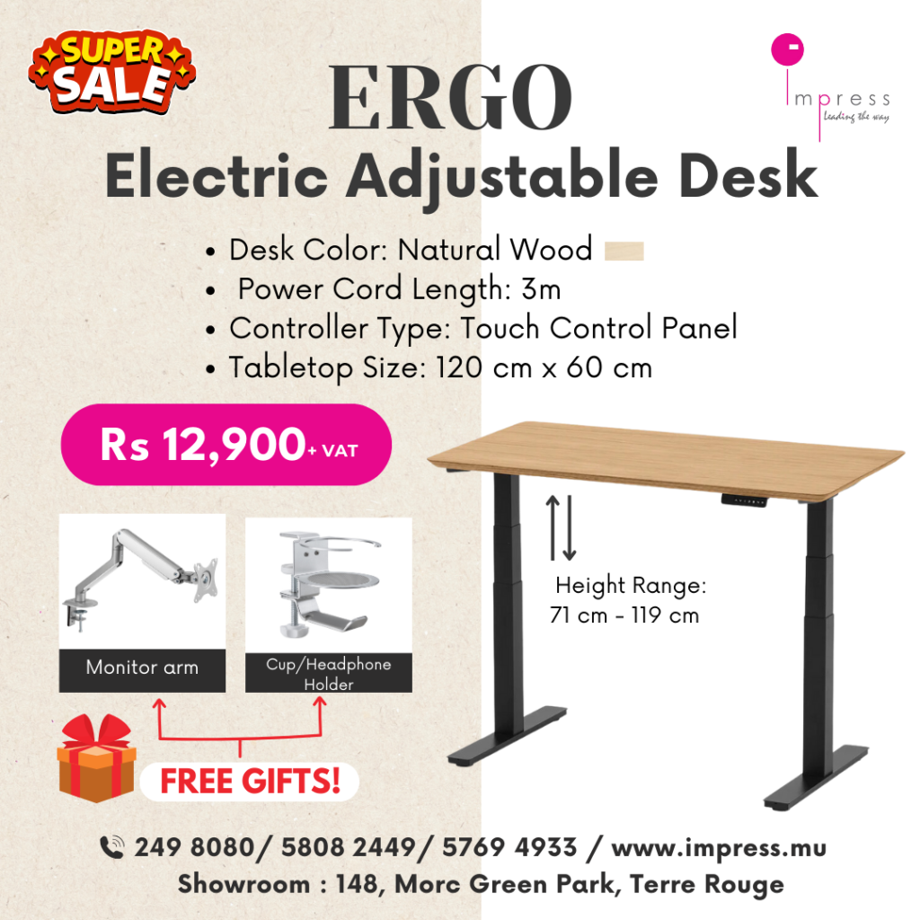 ERGO Electric Adjustable Desk/Table for Office & Home (Ergonomic ...