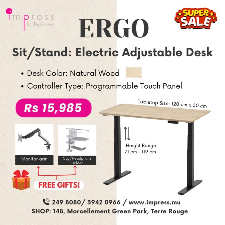 ERGO Electric/Motorised Adjustable Desk/Table for Office & Home ...